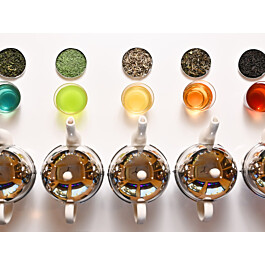 THE NEW ROUTES OF TEA